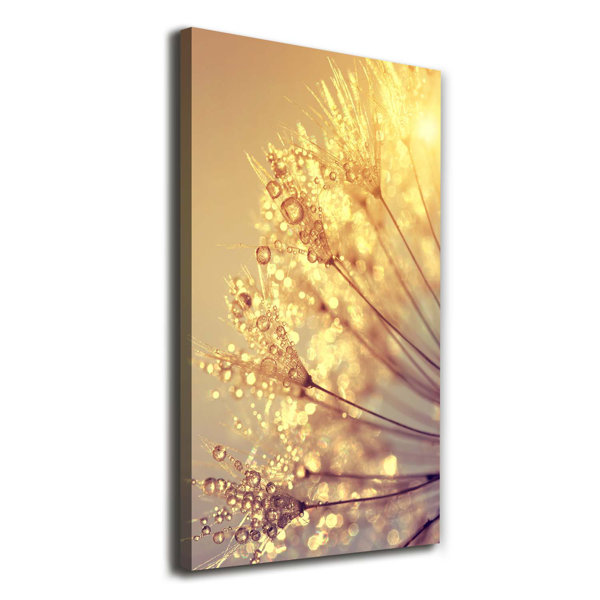 ModernMoments Löwenzahnsamen - Kunstdrucke auf Leinwand - Wrapped Canvas | Wayfair.de